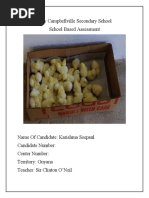 Food and Nutrition SBA Time Plan | PDF