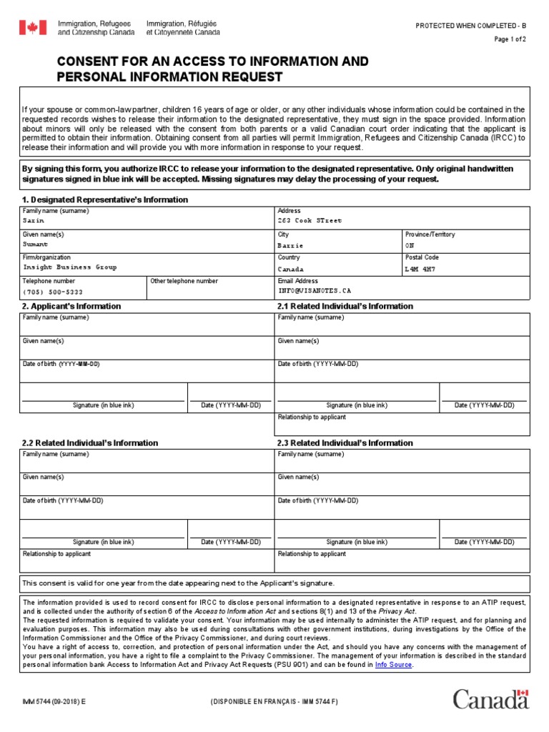 CAIPS Consent Form | PDF | Government | Justice