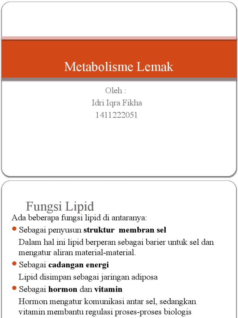 Metabolisme Lemak | PDF