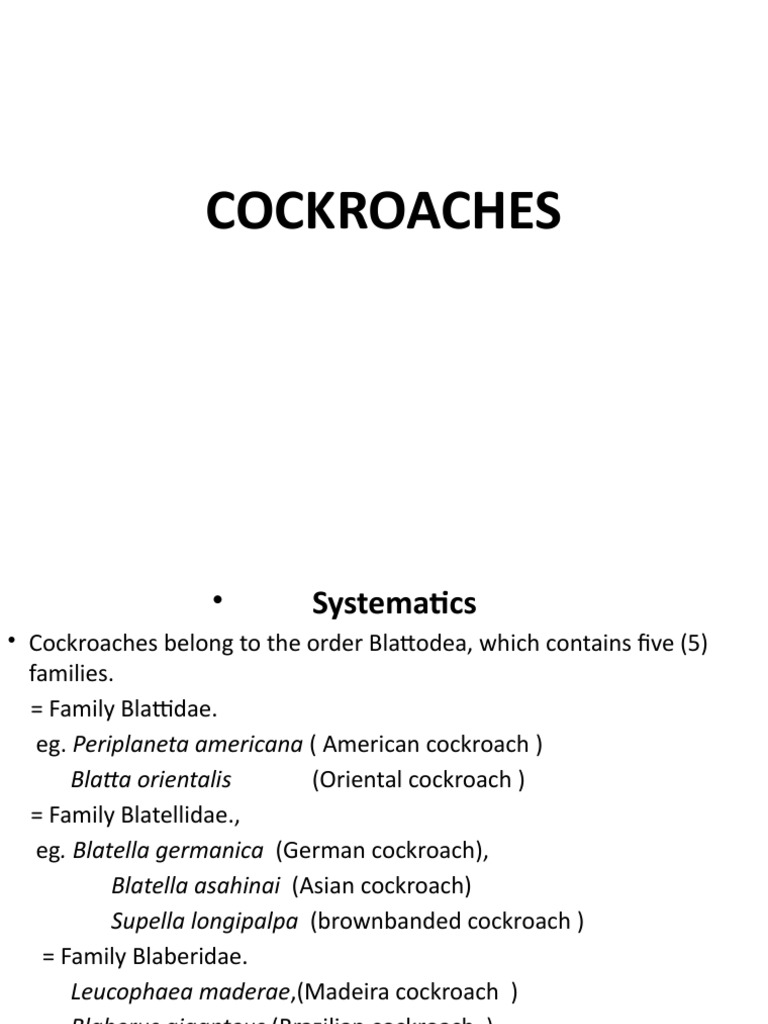 COCKROACH GUIDE | PDF | Hexapoda | Insects