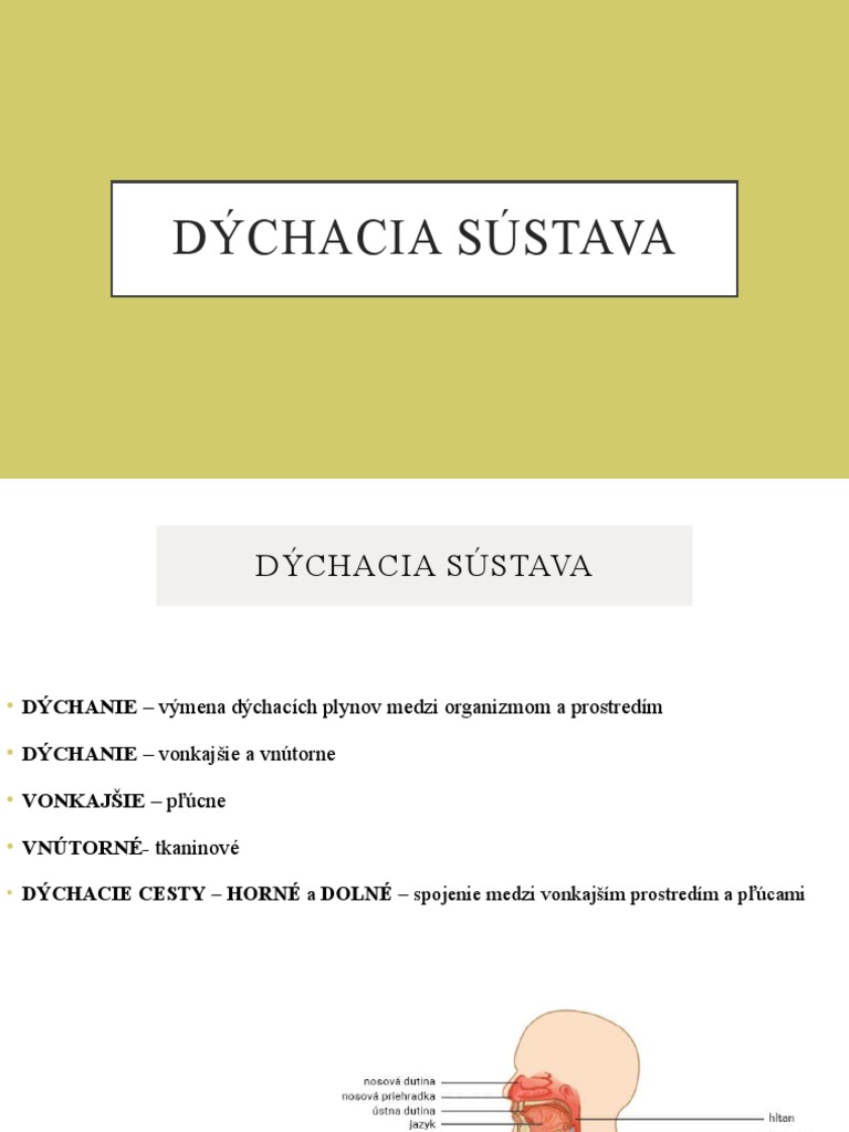 DÃ Chacia Sãºstava | PDF