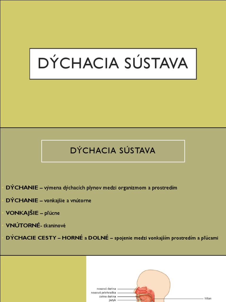 DÃ Chacia Sãºstava | PDF