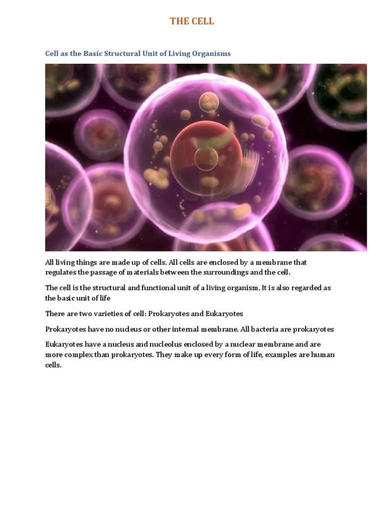1.1.8 The Cell | PDF | Cell (Biology) | Organisms