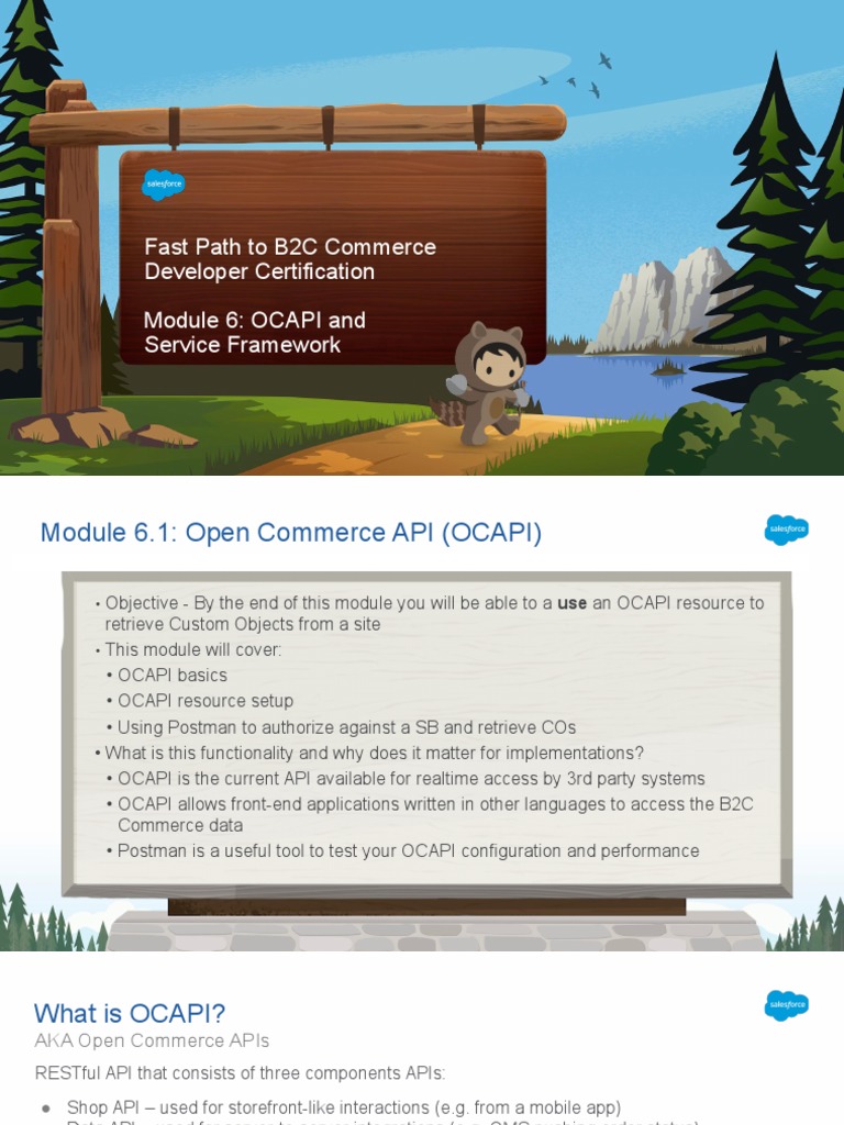 Fast Path To B2C Commerce Developer Certification - Module 6 - OCAPI and Service Framework | PDF ...