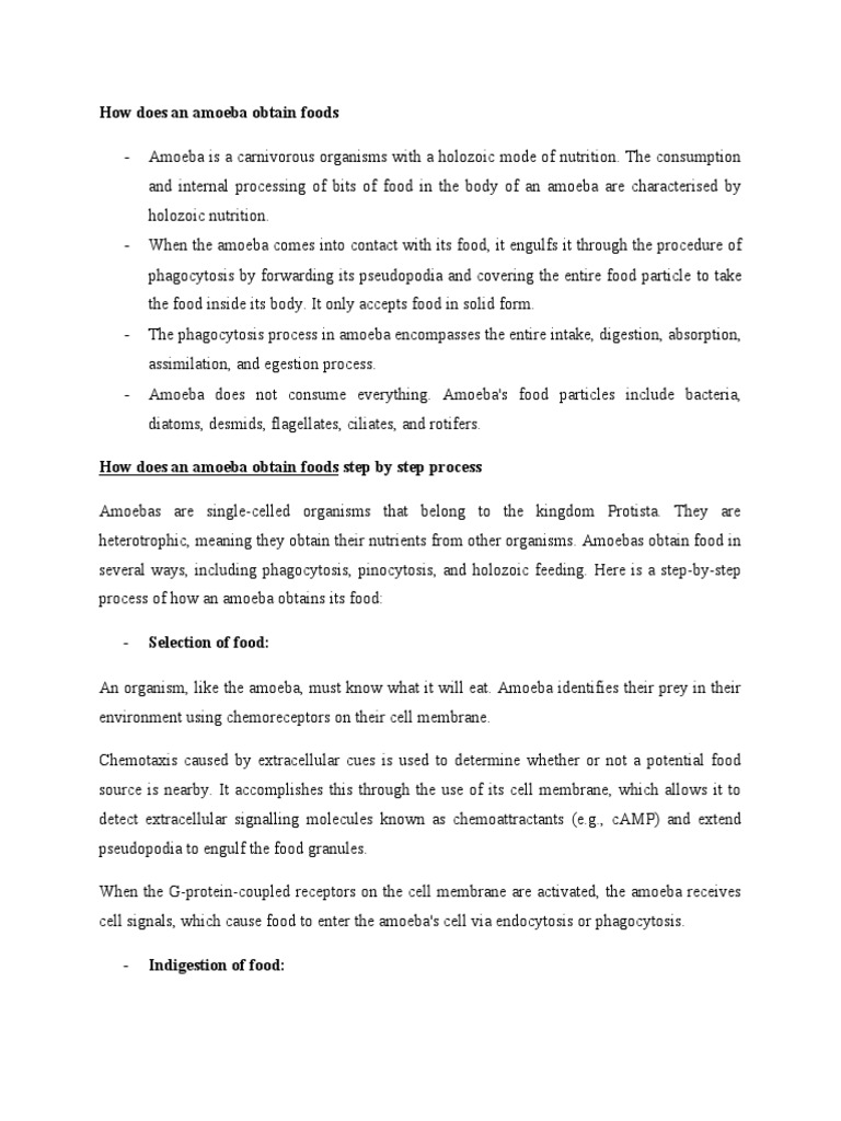 How Does An Amoeba Obtain Foods | PDF | Digestion | Vacuole