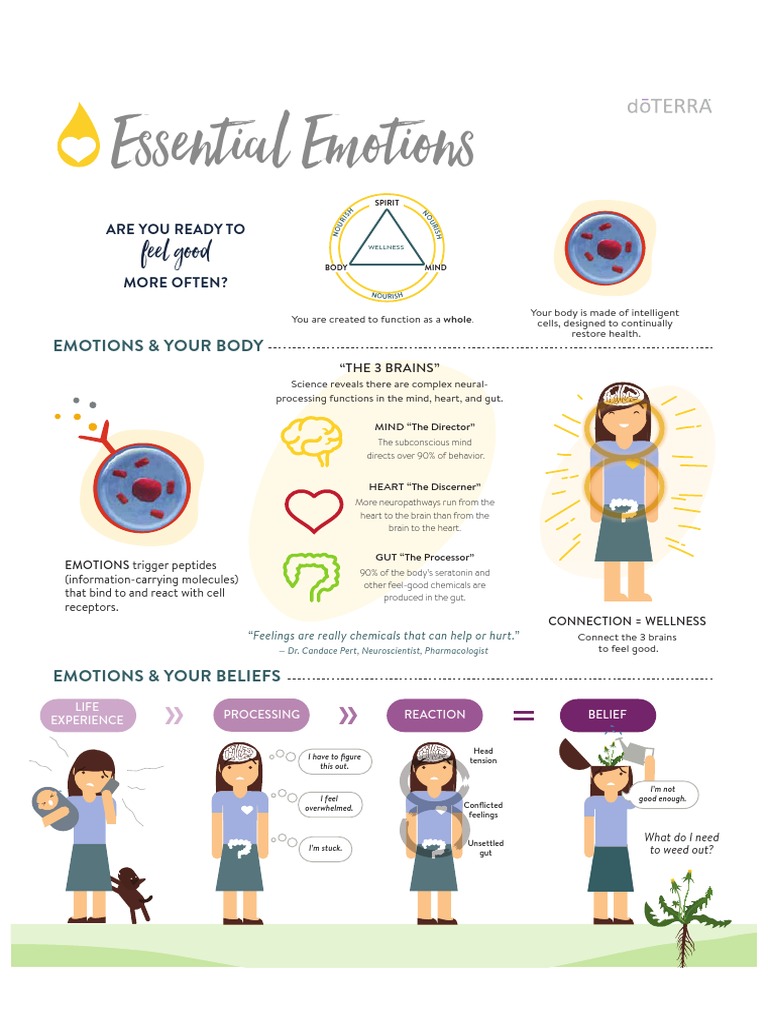 Essential Emotions Class Handout | PDF | Emotions | Essential Oil