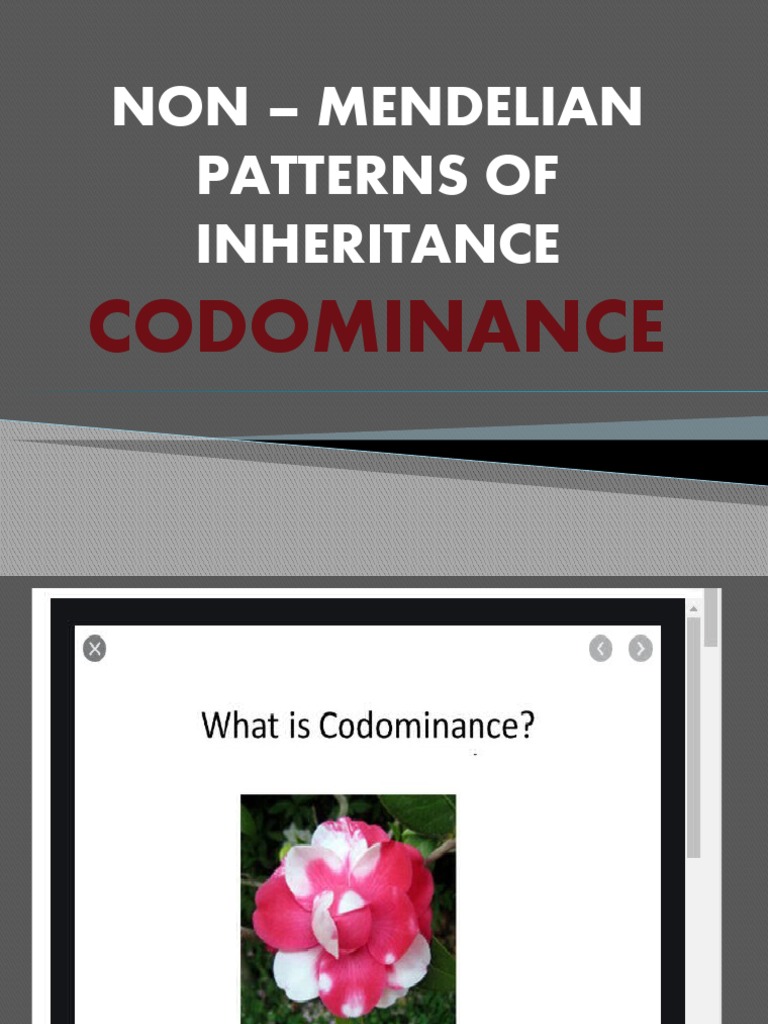 Codominance:NON - MENDELIAN PATTERNS OF INHERITANCE - Module3 | PDF