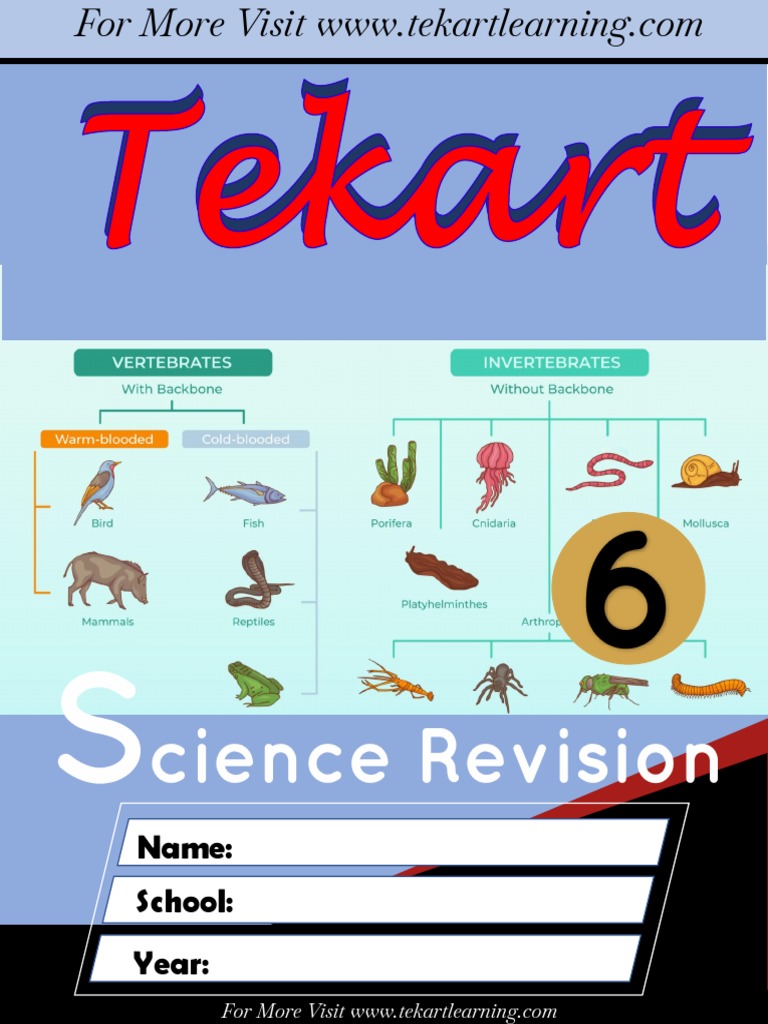 Tekart P.6 Science Revision Booklet | PDF | Seed | Water