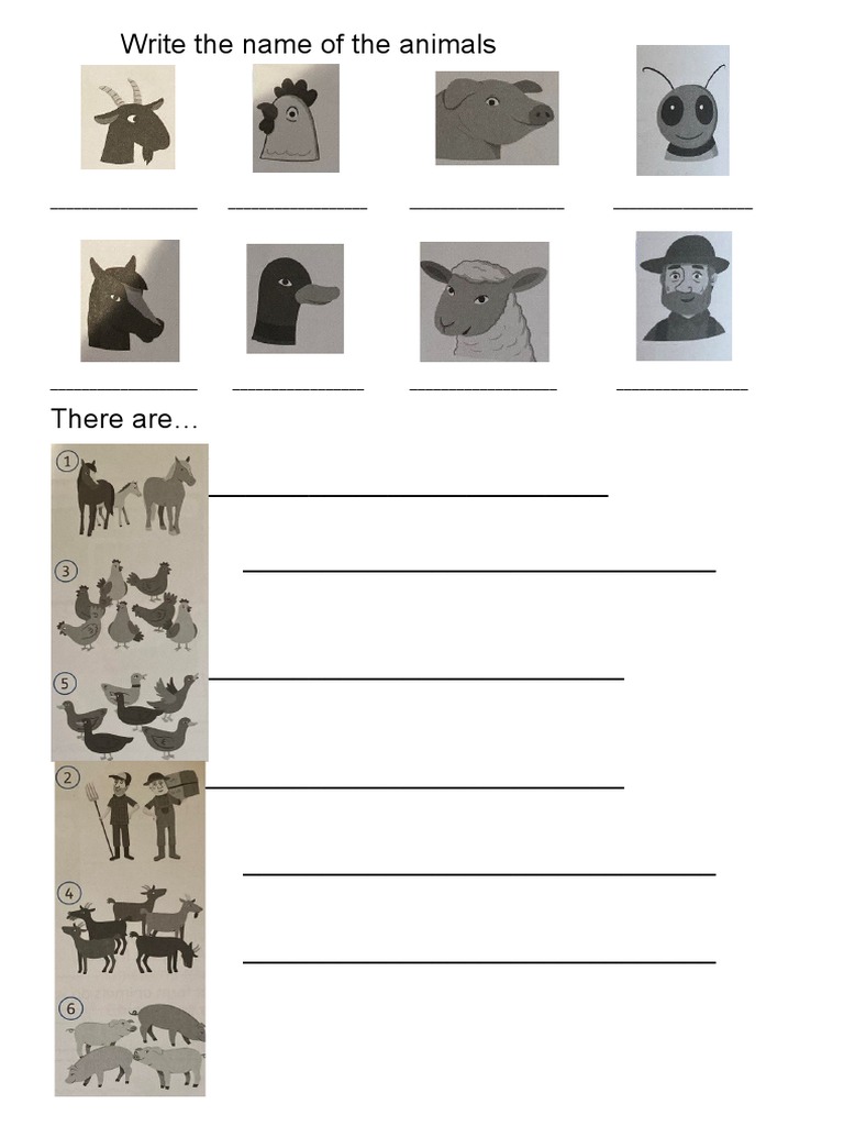 Write The Name of The Animals | PDF