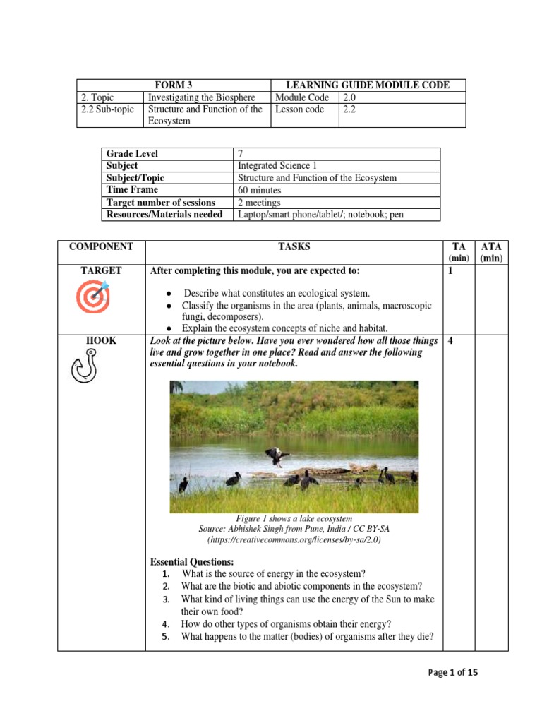 SLG 2.2A-SLG 2.2B Structure and Function of The Ecosystem | PDF ...