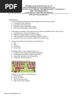 100 Soal UTBK UKPPG DALJAB PGSD 2025 FINAL | PDF