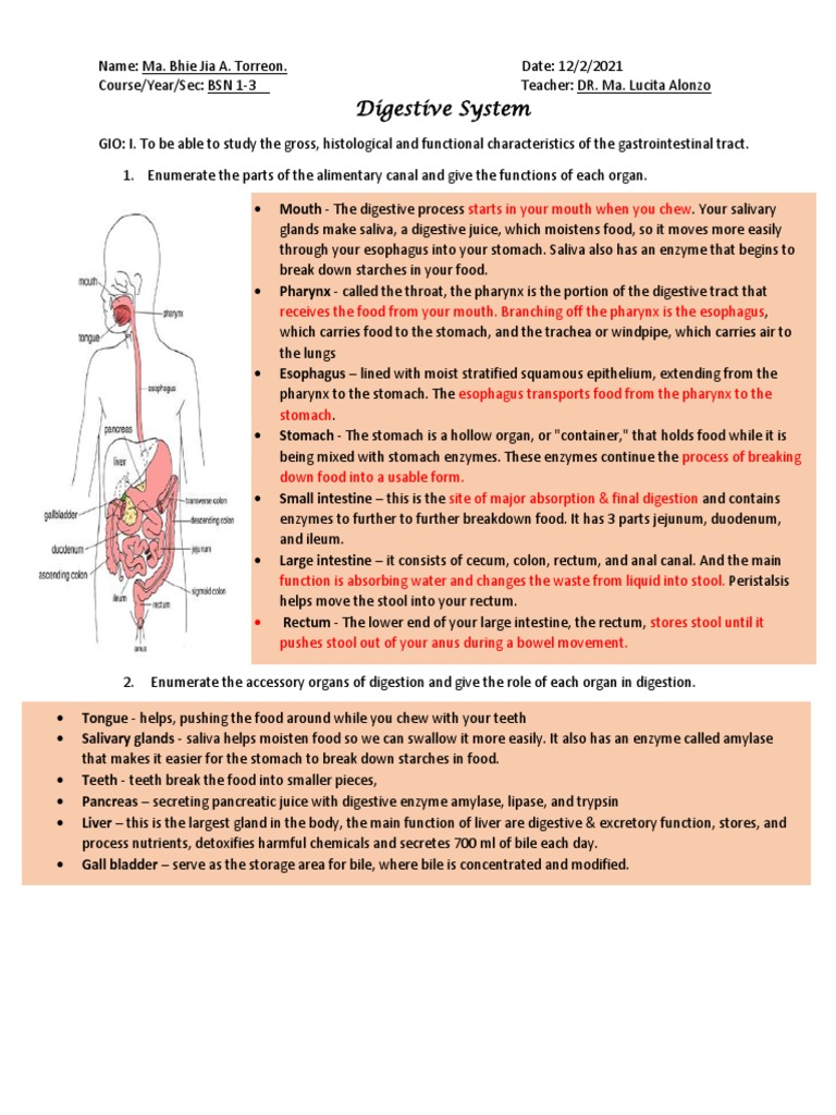 Lab Act Digestive | PDF | Human Digestive System | Gastrointestinal Tract