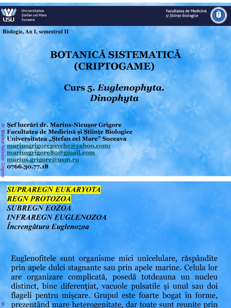 CURS 5. Euglenophyta. Dinophyta | PDF