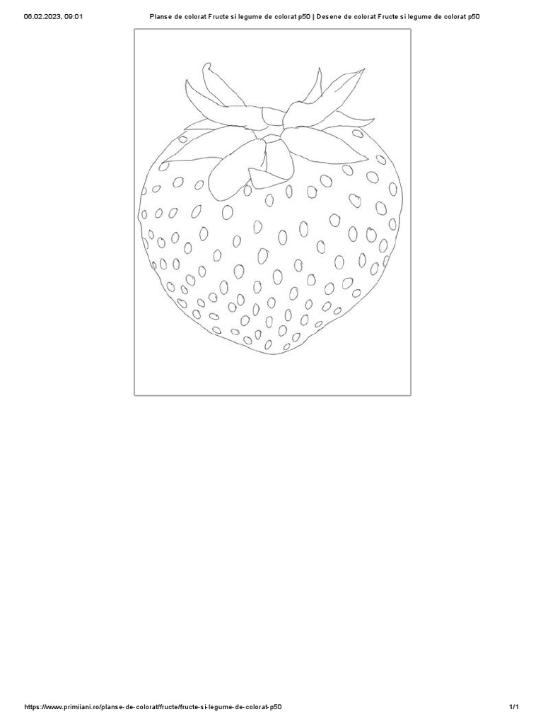 Fisa de Colorat | PDF