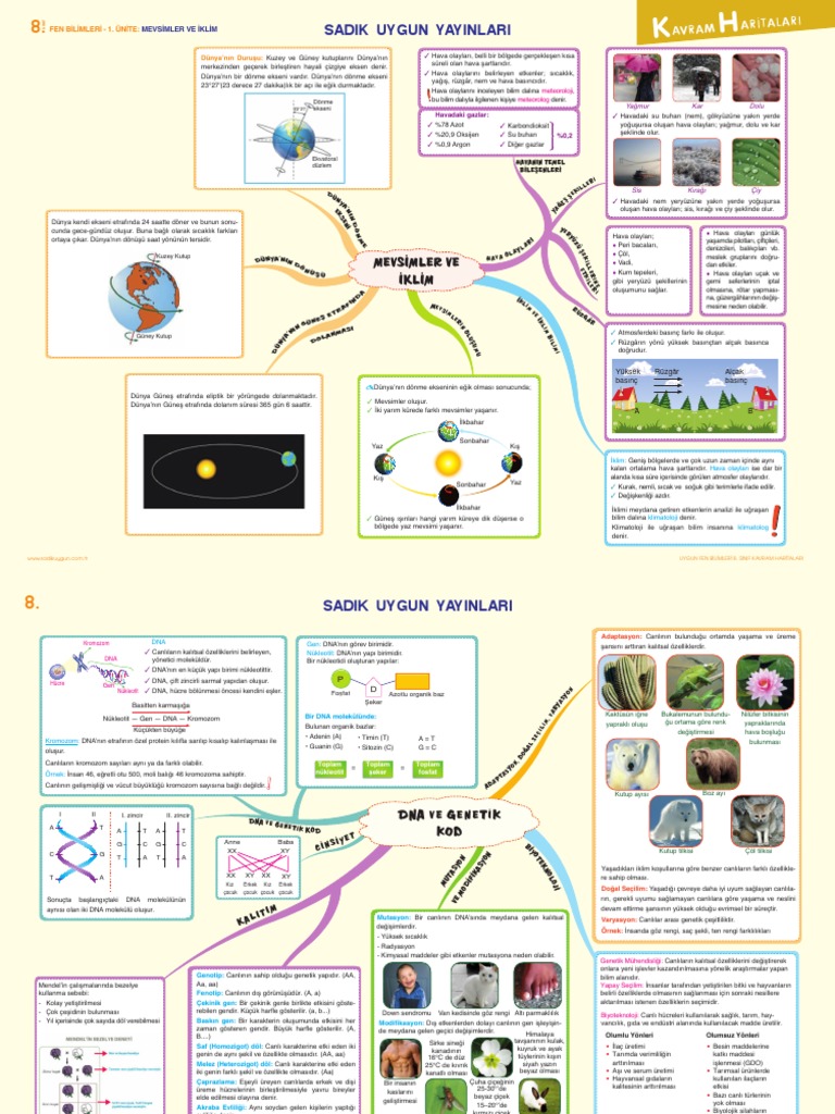 8.sinif Fen Bilimleri Kavram Haritalari | PDF