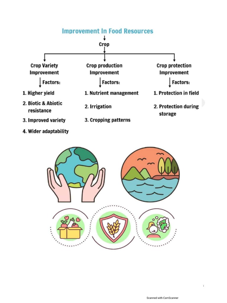 Improvement in Food Resources | PDF