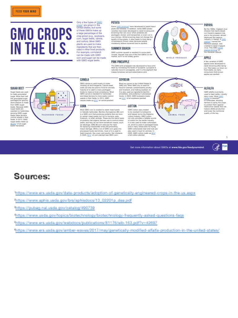 Ag Biotech - What GMO Crops Are Grown and Sold - 08042022 | PDF | Genetically Modified Food ...
