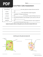 Year 7 Plant Cell Worksheet | PDF