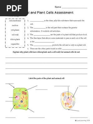 Plant And Animal Cell Worksheet Pdf Pin On Education