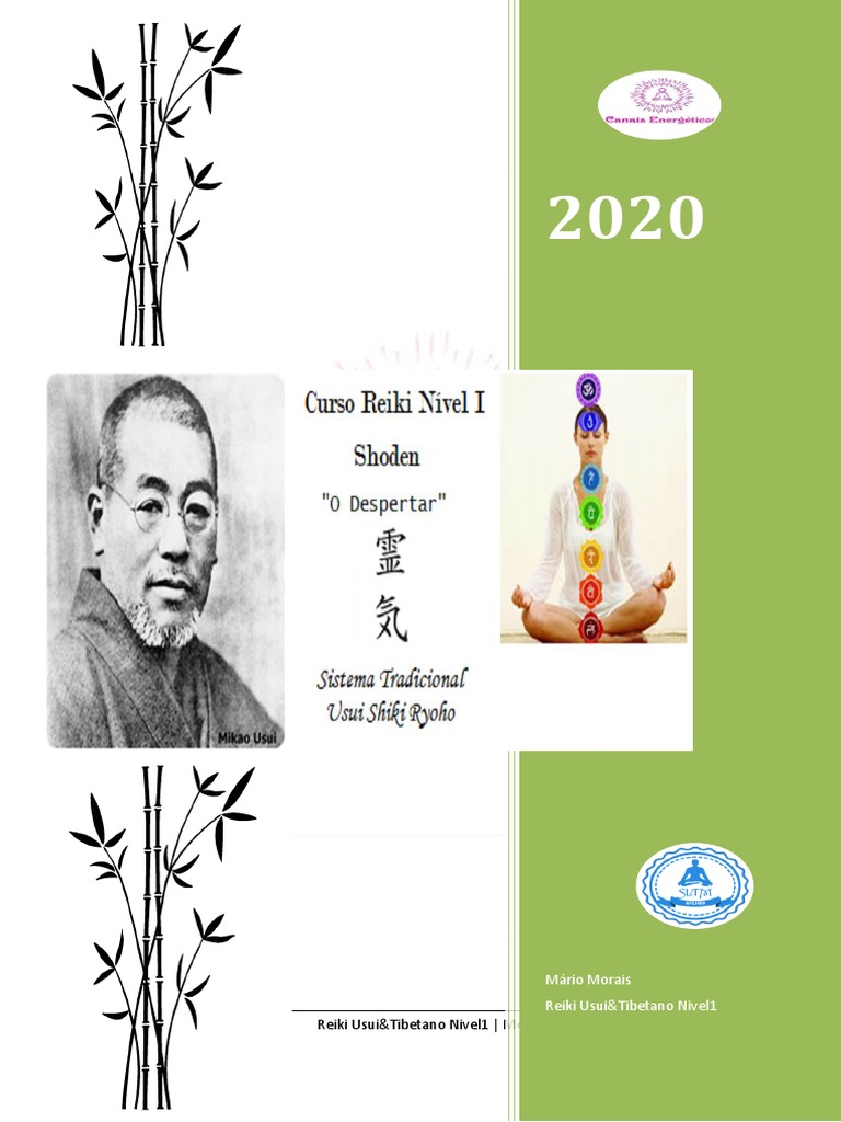 Manual Reiki Nivel 1 2020 | PDF | Chacra | Reiki