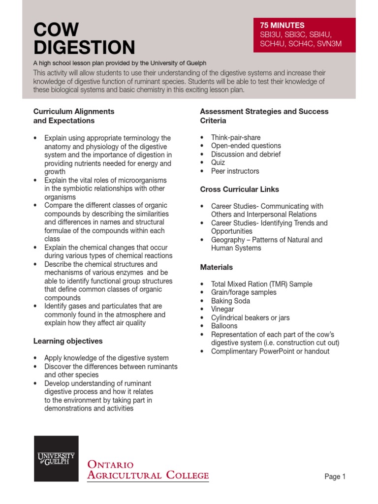 Cow Digestive System Lesson Plan | PDF | Ruminant | Digestion