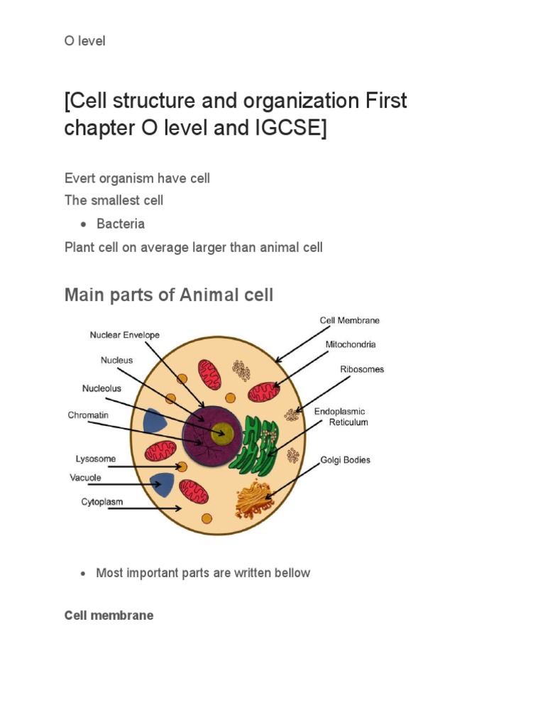 Biology ch#1 | PDF | Cell (Biology) | Tissue (Biology)