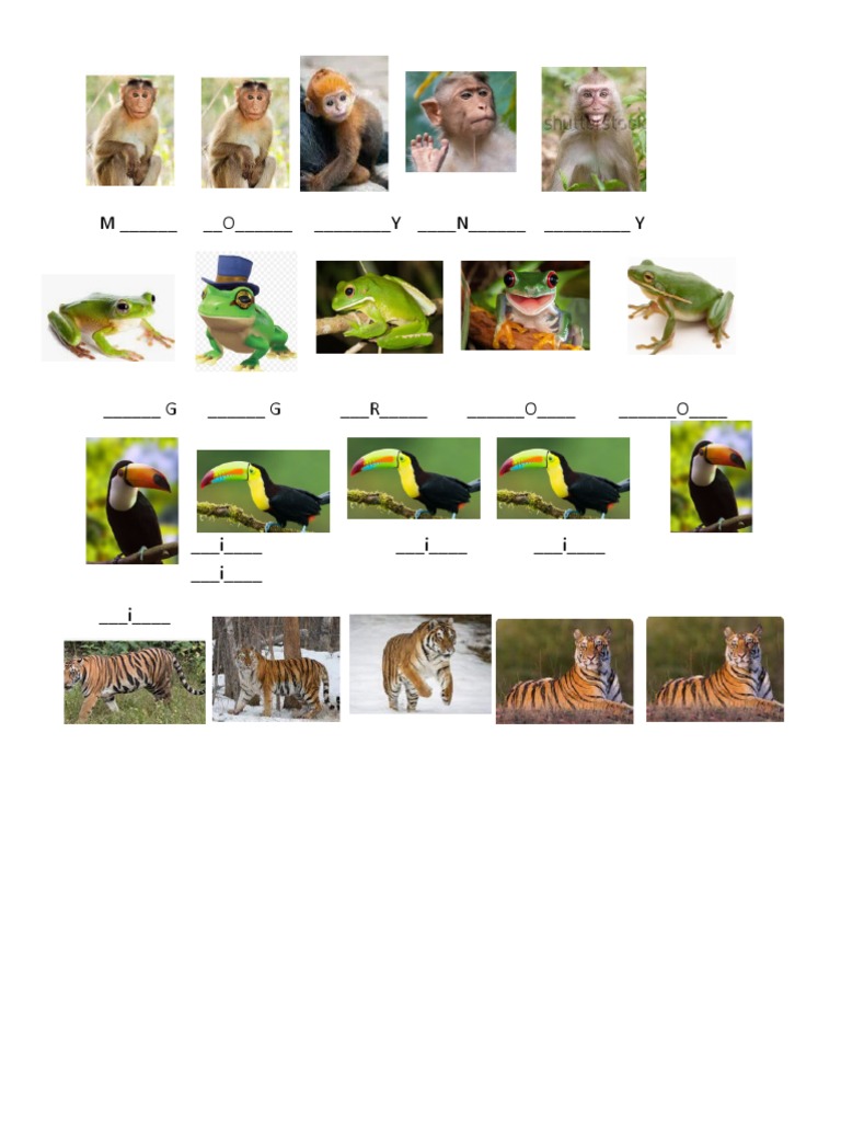 Worksheet Grade 1 Animals | PDF