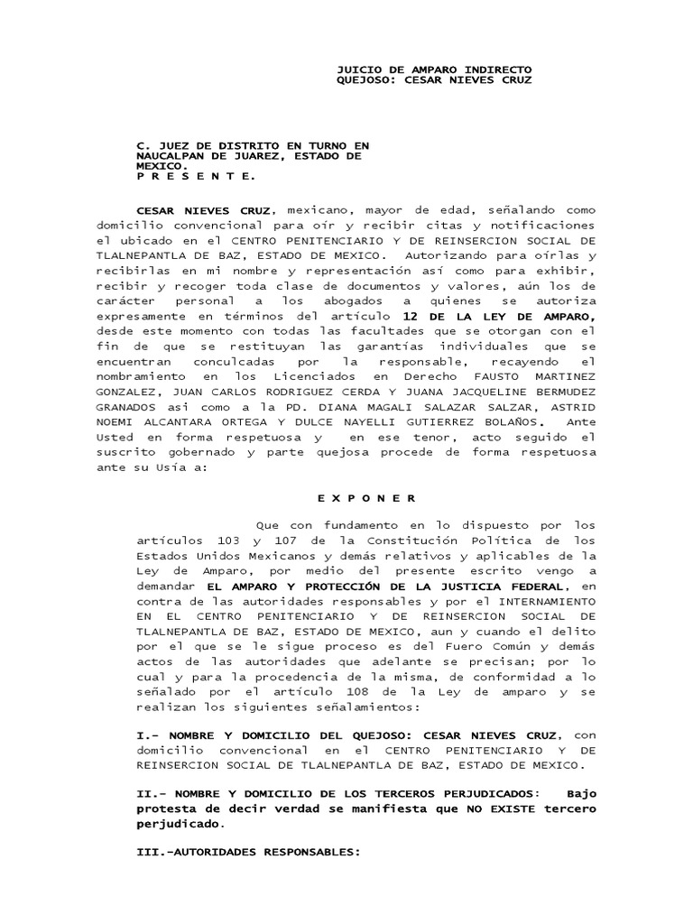 Amparo Cesar Nieves | PDF | Mandato | Remand (Detención)