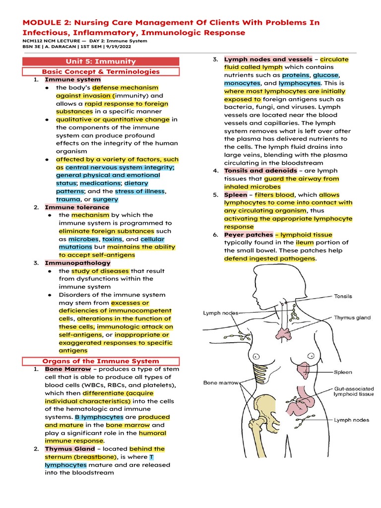 Immune System Nursing Care Overview | PDF | Immune System | Lymphocyte