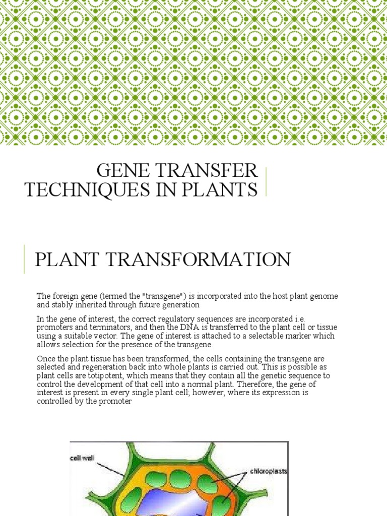 Gene Transfer Techniques in Plants | PDF | Transfection ...