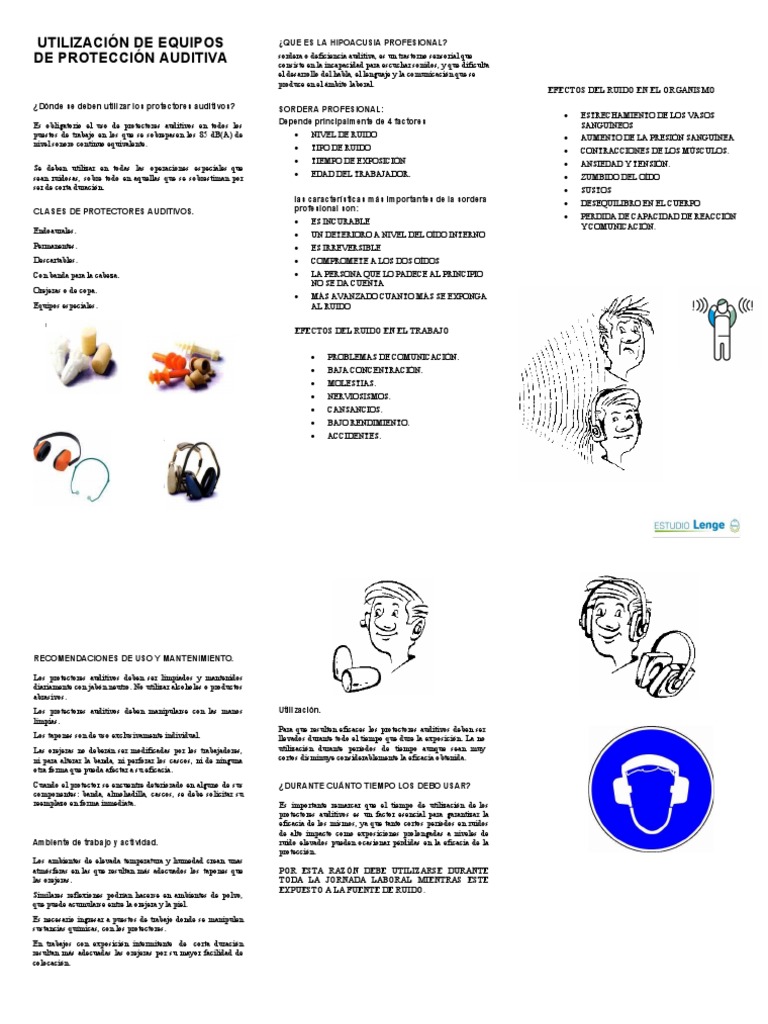 TRIPTICO Epp Auditivo | PDF | Escuchando | Oído