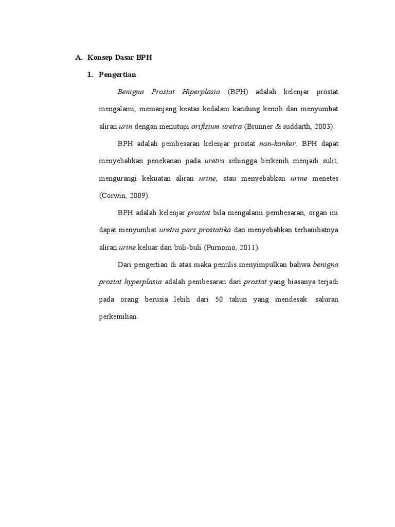 Panduan Dasar BPH dan Sistem Perkemihan | PDF