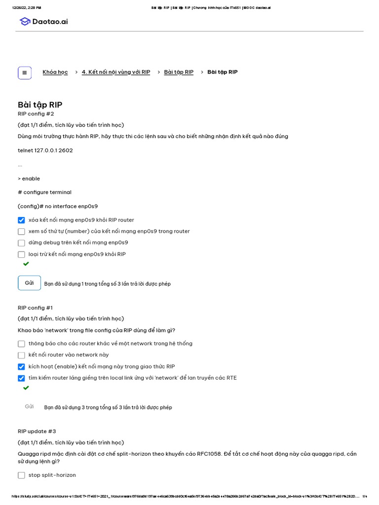 Câu hỏi RIP | PDF