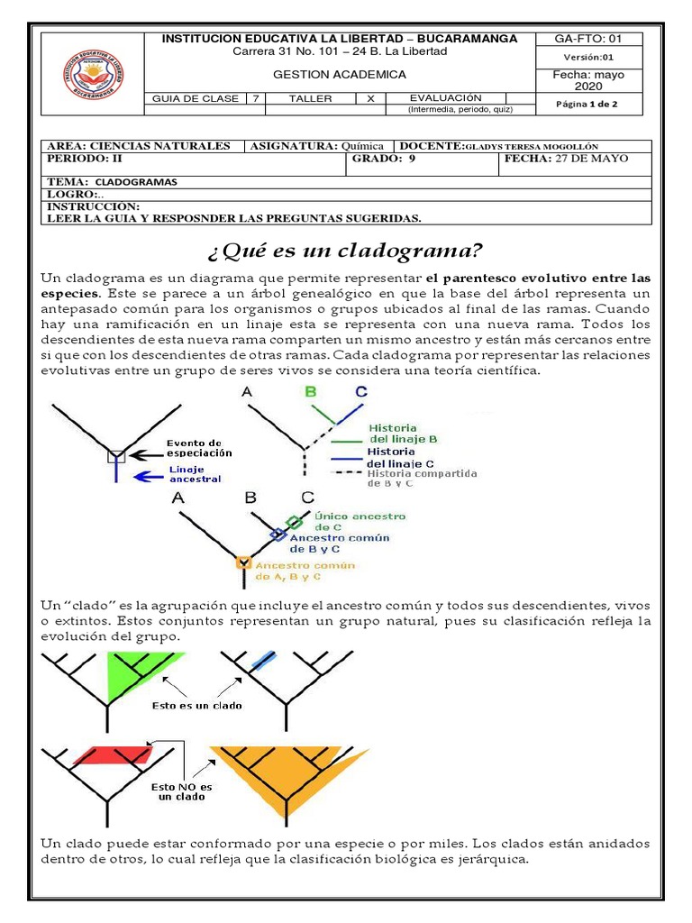 GUIA 7 - Los Cladogramas - Biología | PDF | Evolución | Clade