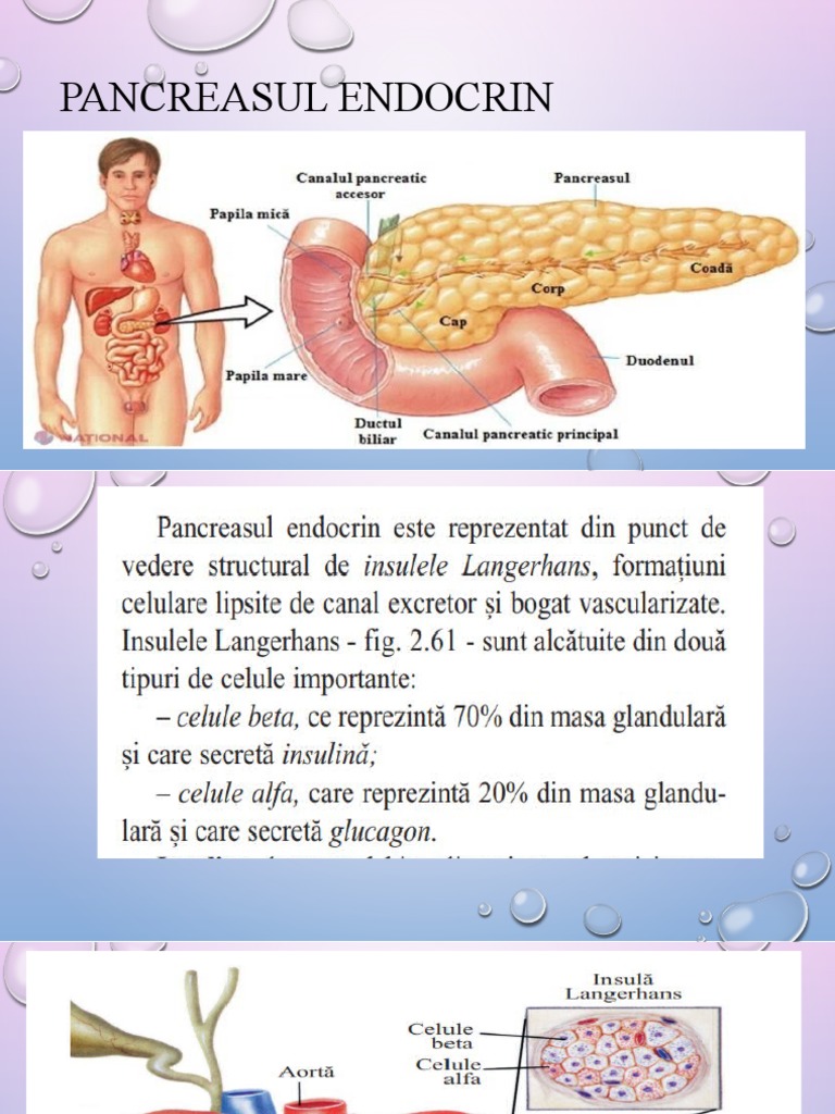 Pancreasul Endocrin | PDF