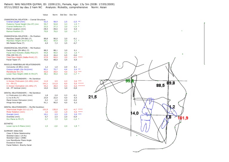 Ricketts Comprehensive Pdf Human Anatomy Animal Anatomy