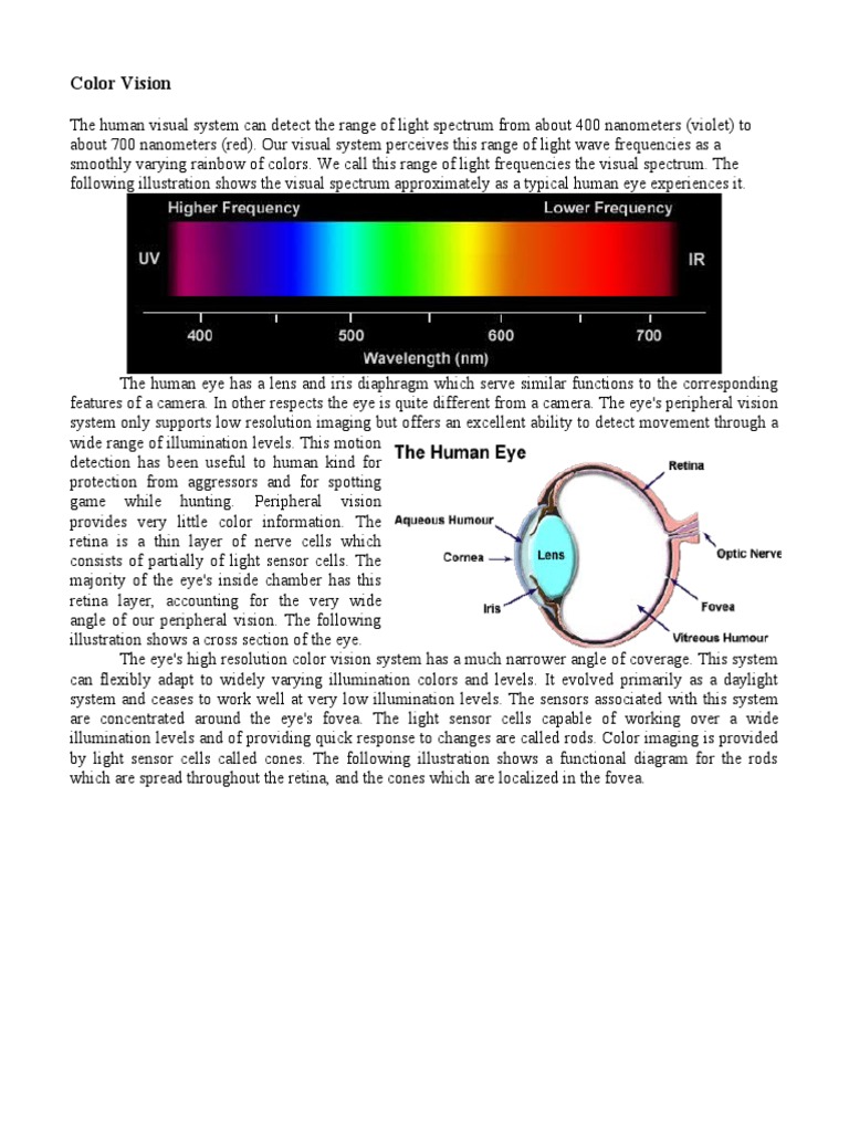 Color Vision | PDF | Color | Eye