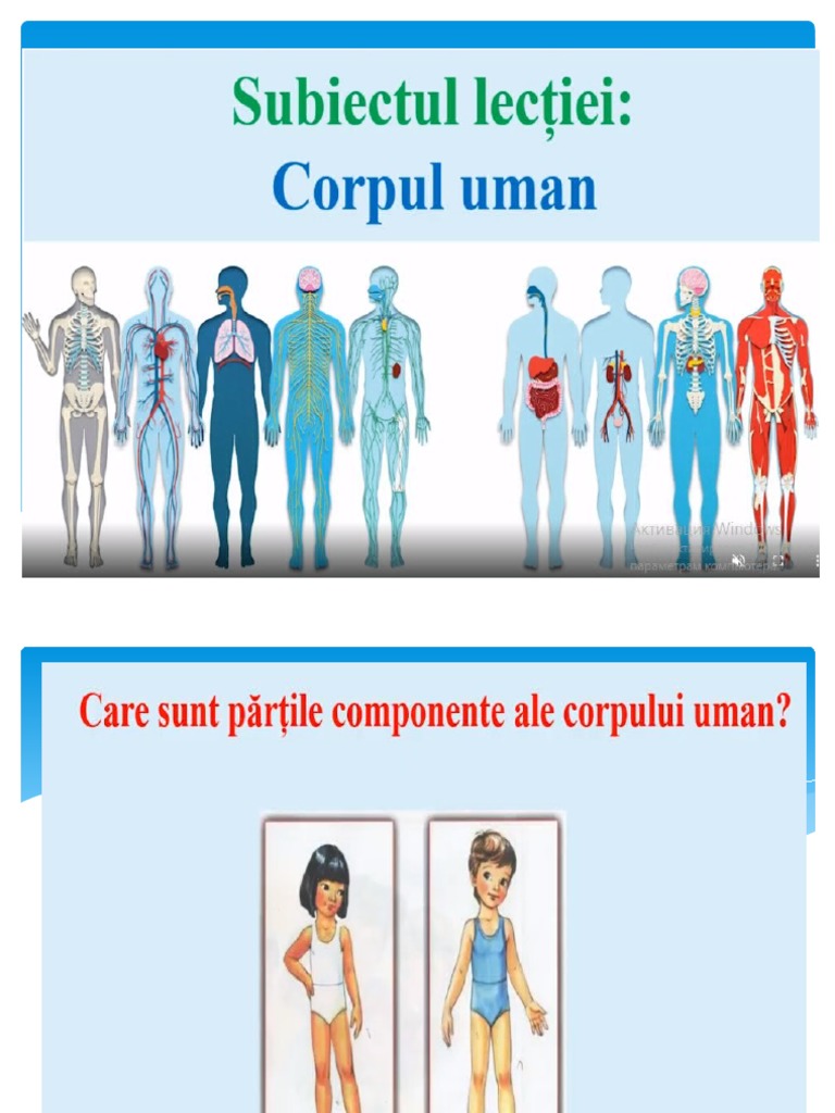 Corpul Uman | PDF