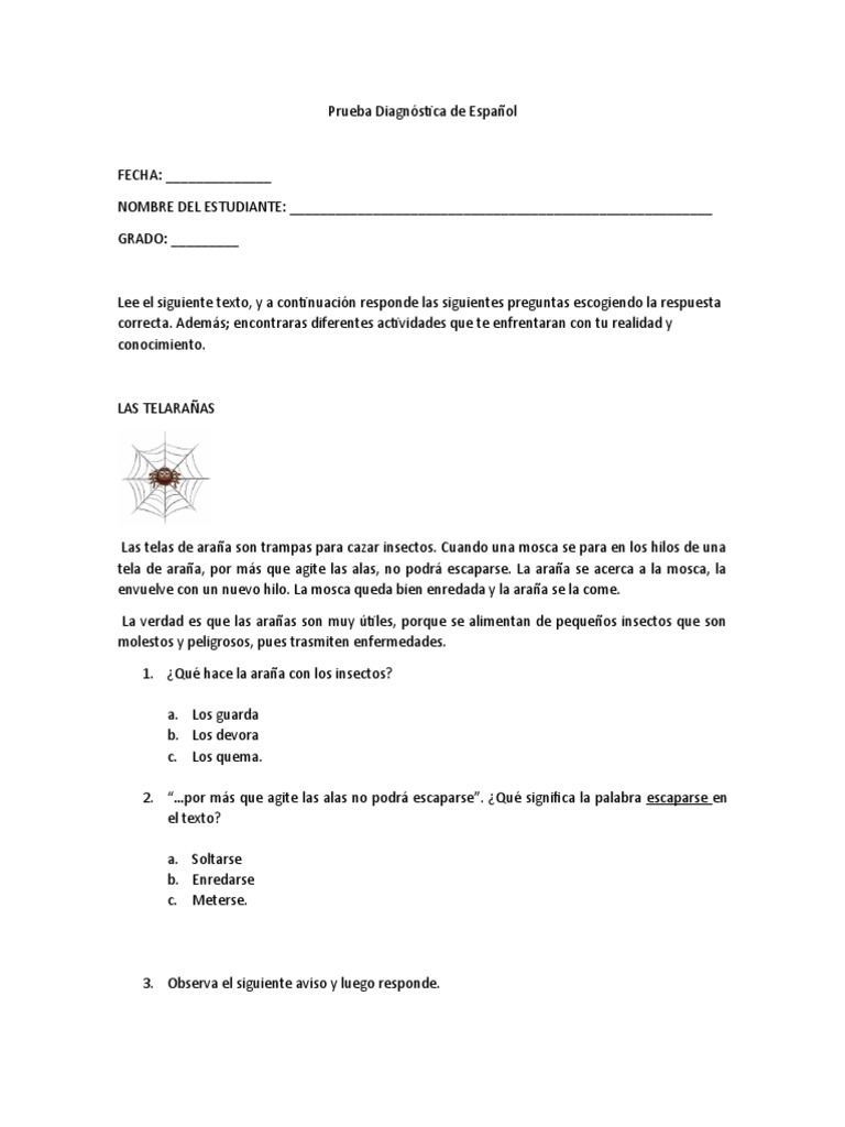 Prueba Diagnóstica Escolar | PDF
