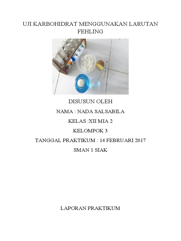 Uji Karbohidrat Menggunakan Larutan Fehling | PDF