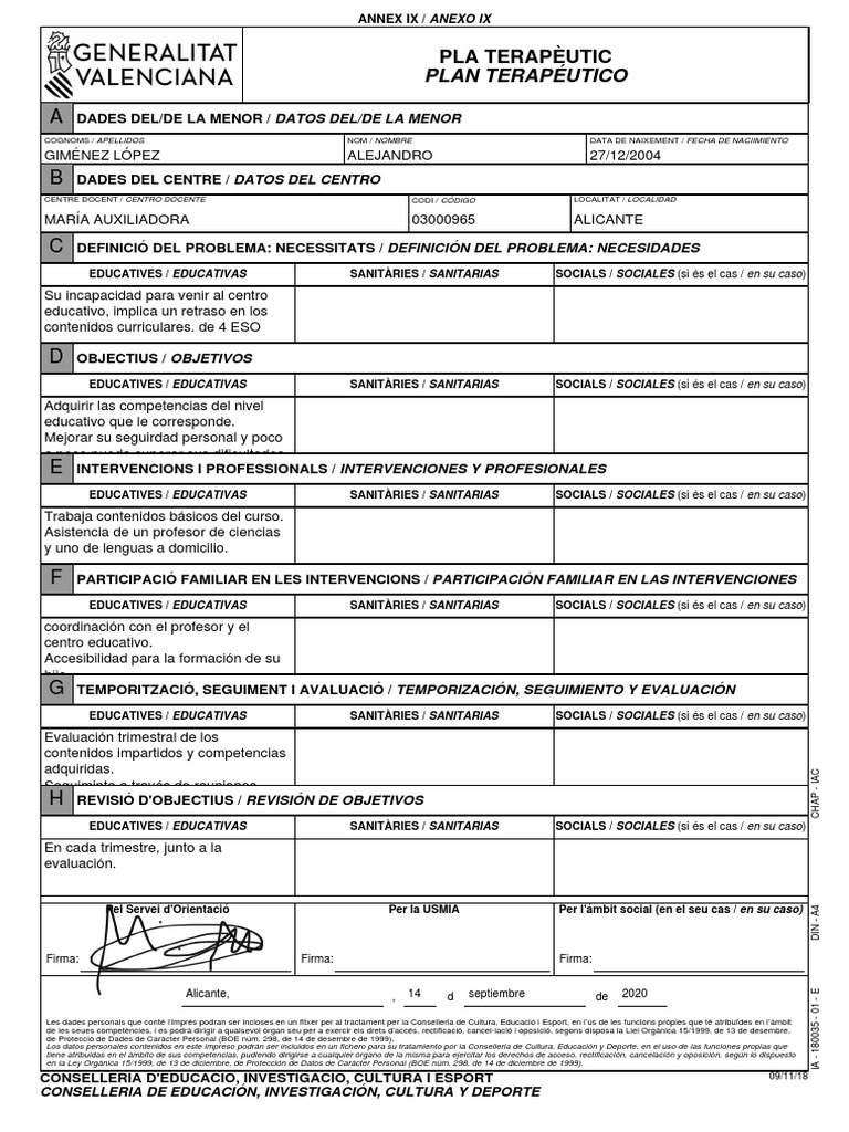 Anexo Ix Plan Terapeutico-1 | PDF