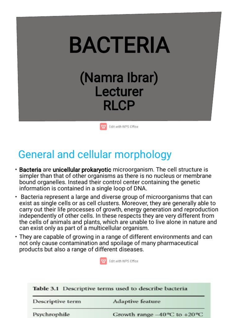 Bacteria | PDF | Bacteria | Ribosome