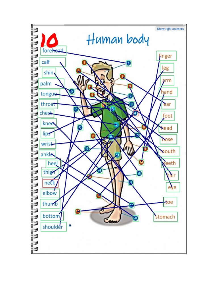 LIVEWORKSHEETS ACTIVITIES ABOUT # 7,8 and 9 | PDF