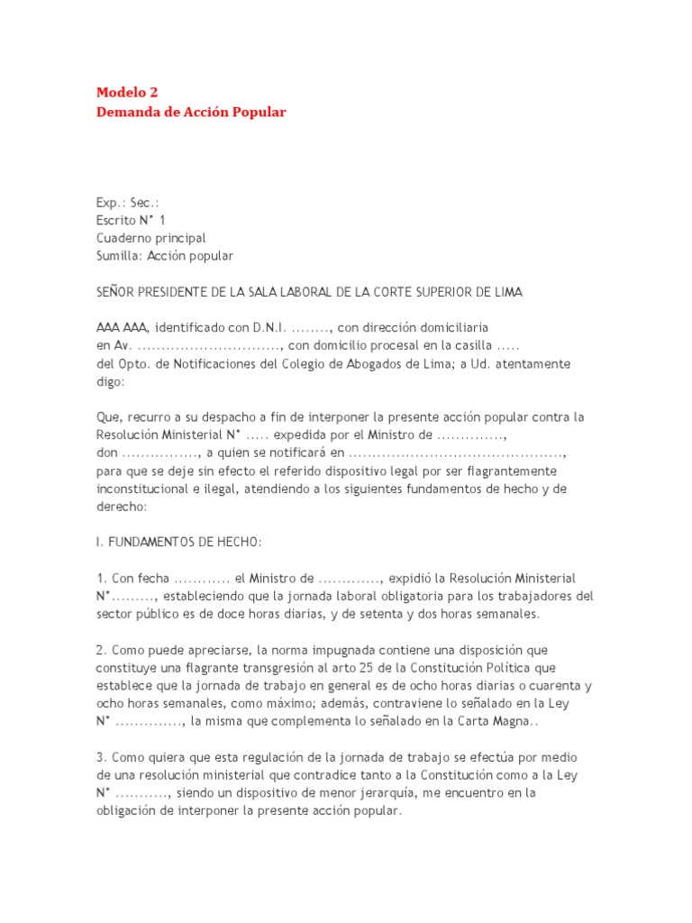 Modelo Demanda de Accion de Amparo | PDF | Tiempo de trabajo | Constitución