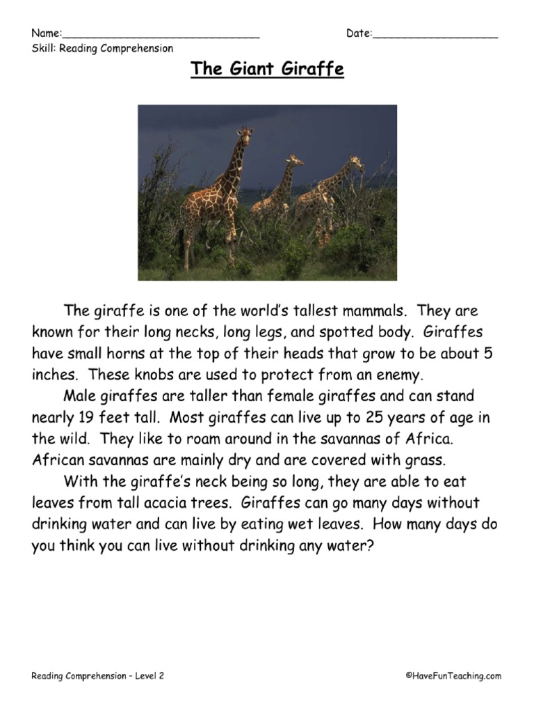 Giant Giraffe | PDF