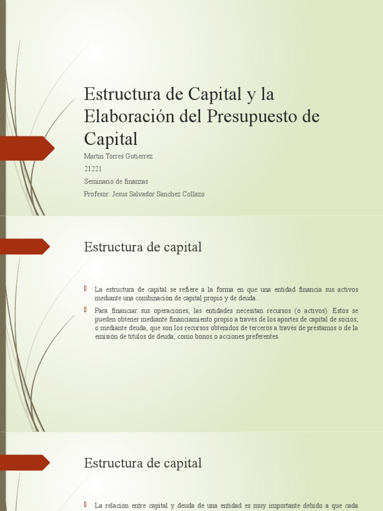 Estructura de Capital y La Elaboración Del Presupuesto | PDF | Presupuesto | Sector privado