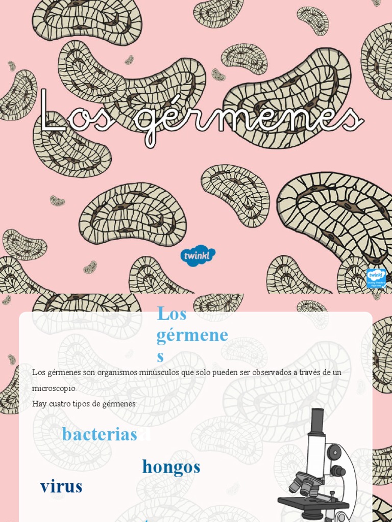 Es Cfe SC 13 Los Germenes Presentacion | PDF | Influenza | Virus