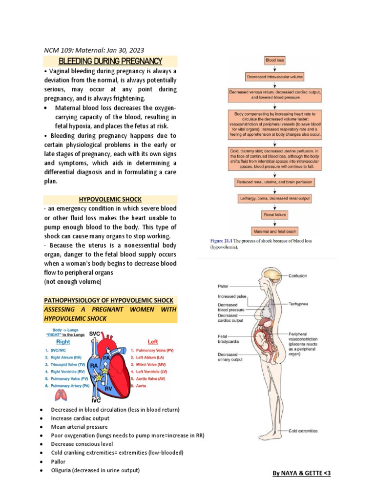 Bleeding During Pregnancy | PDF | Miscarriage | Pregnancy