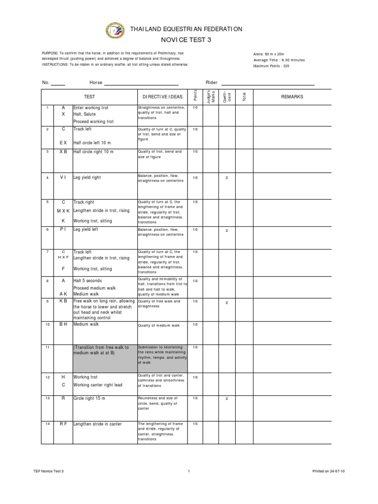 Tef-Novice 3 Test | PDF | Horse Gait | Horses