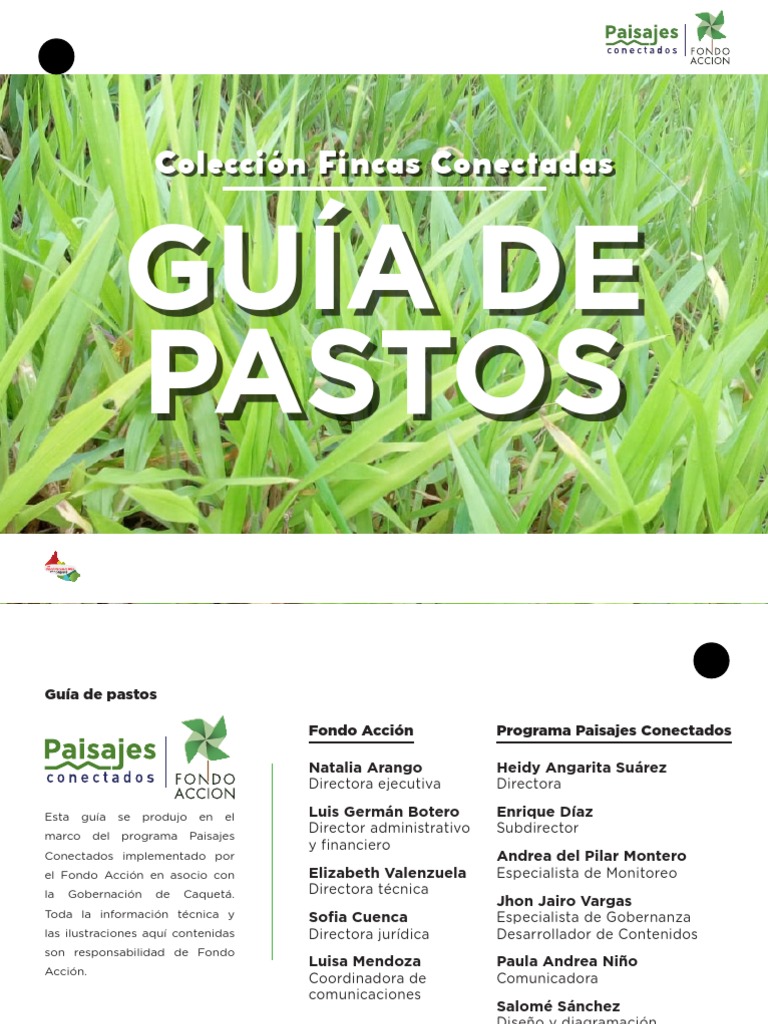 Guia de Forrajes y Pastos | PDF | Pasto | Fertilizante